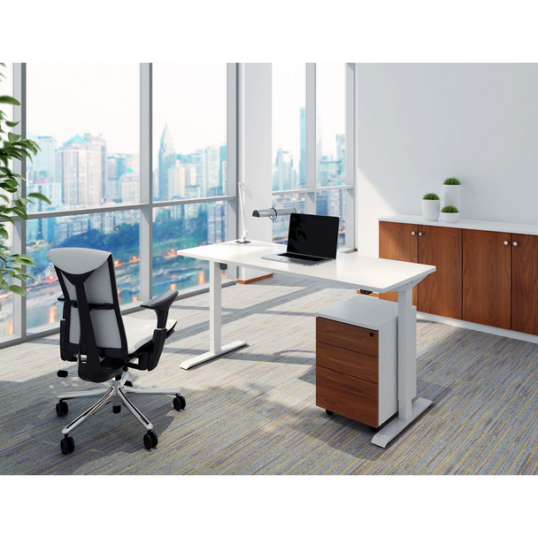 Sealey DH67 │ Dellonda Single Motor Ultra-Quiet Adjustable-Height ...