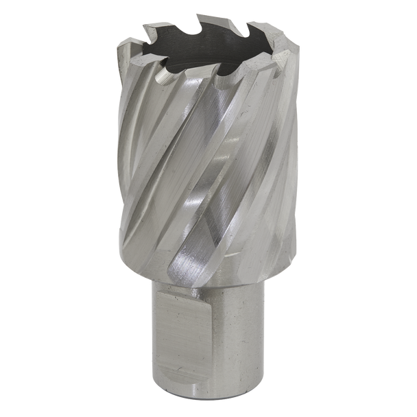 Sealey RBHSS30S ⏐ Worksafe® 30mm HSS Mag Drill Bit Cut | Compressed Air ...